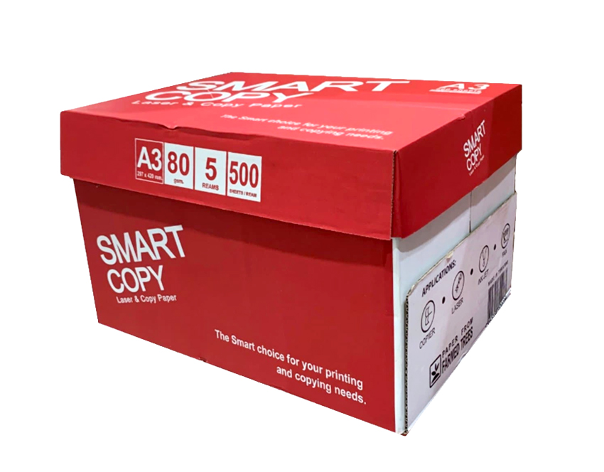 Big paper A4 size Printing photocopy paper 80gsm (BOX) | Photo copy ...